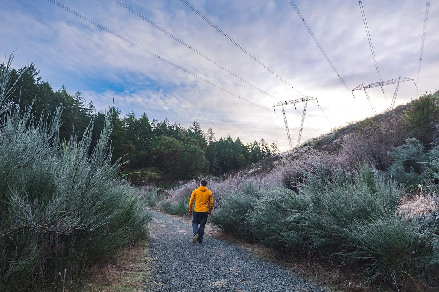 How to Hike STEWART MOUNTAIN Near VICTORIA — Seeing the Elephant ...