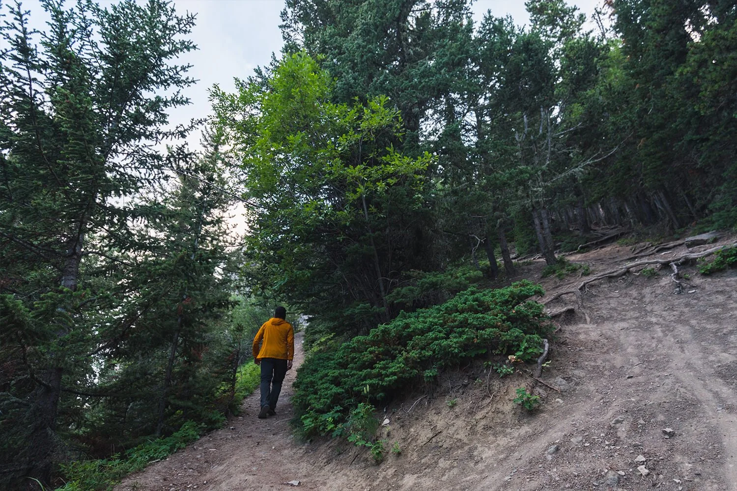 How to Hike YATES MOUNTAIN in KANANASKIS COUNTRY — Seeing the Elephant ...