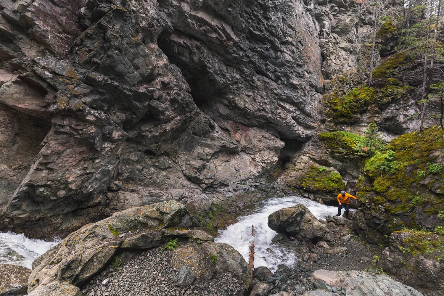 How to Hike to STAR CREEK FALLS in the CROWSNEST PASS — Seeing the ...