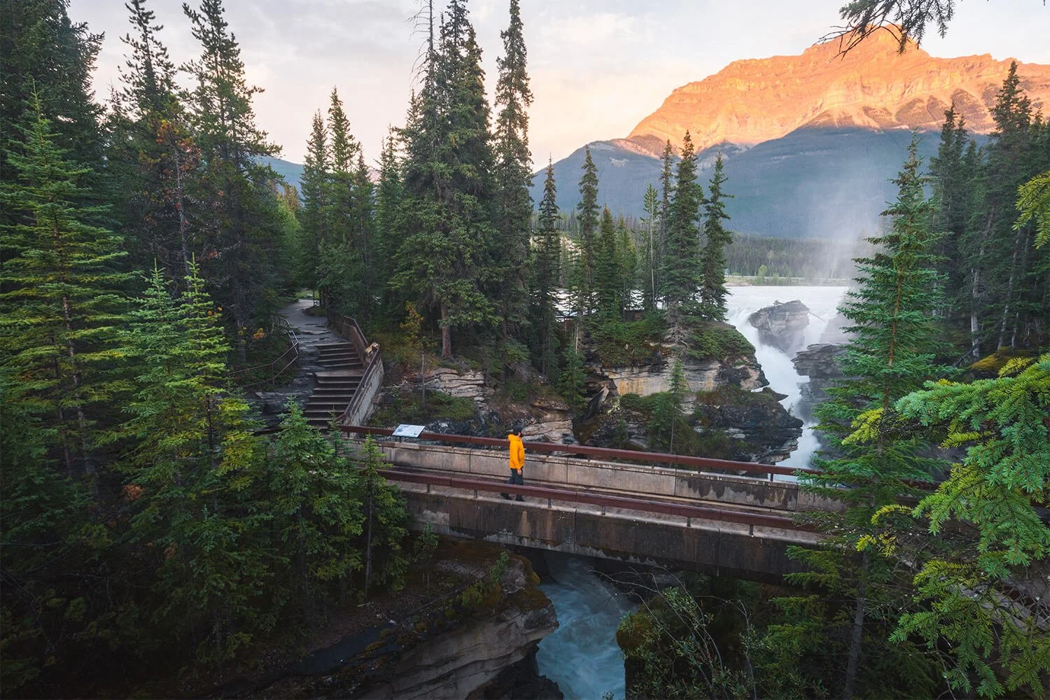 How to Visit ATHABASCA FALLS in JASPER NATIONAL PARK — Seeing the ...