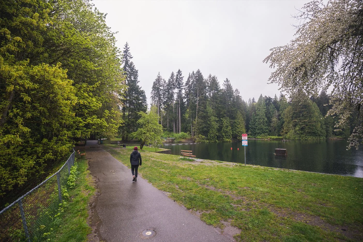 How to Visit HAREWOOD CREEK FALLS in NANAIMO — Seeing the Elephant ...