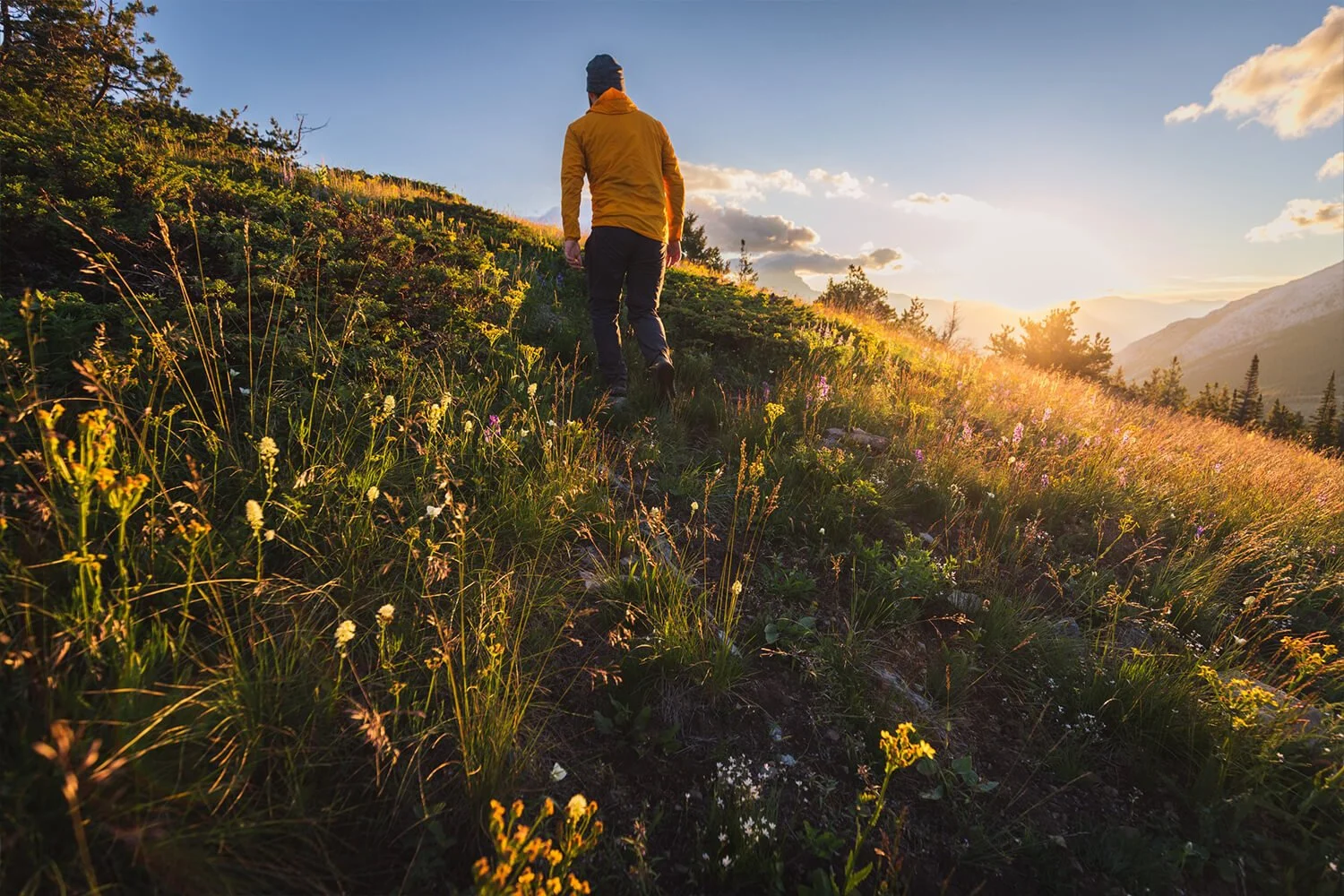 How to Hike ISLAND RIDGE in the CROWSNEST PASS — Seeing the Elephant ...