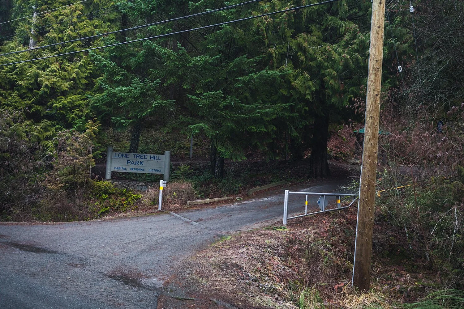 How to Hike LONE TREE HILL Near VICTORIA — Seeing the Elephant | Canada ...