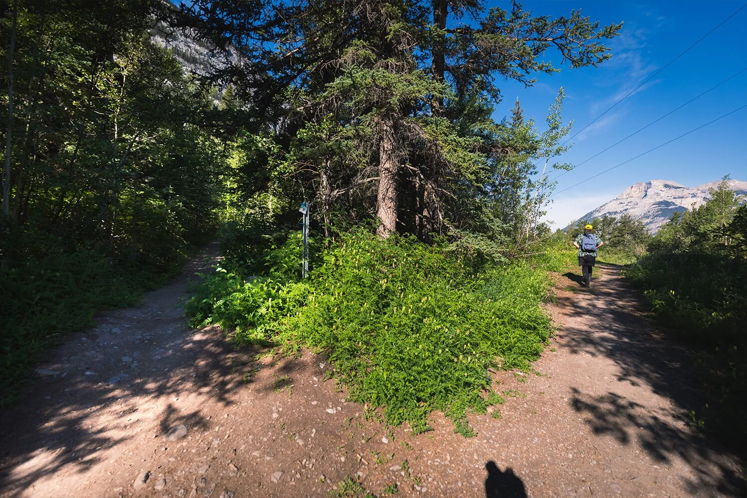 How to Hike to the HEART CREEK BUNKER in KANANASKIS COUNTRY — Seeing ...