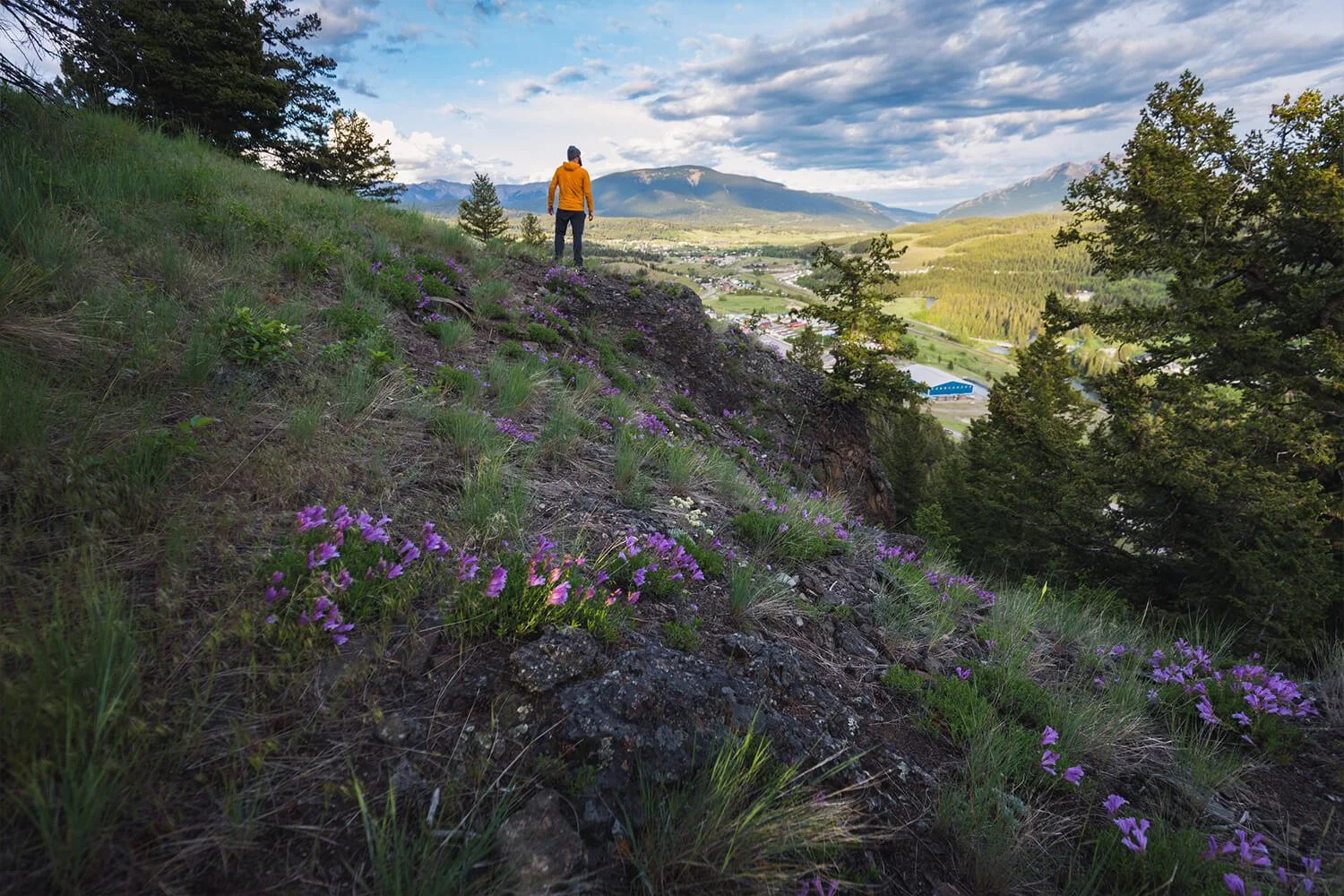 How to Hike IRON RIDGE in the CROWSNEST PASS — Seeing the Elephant ...