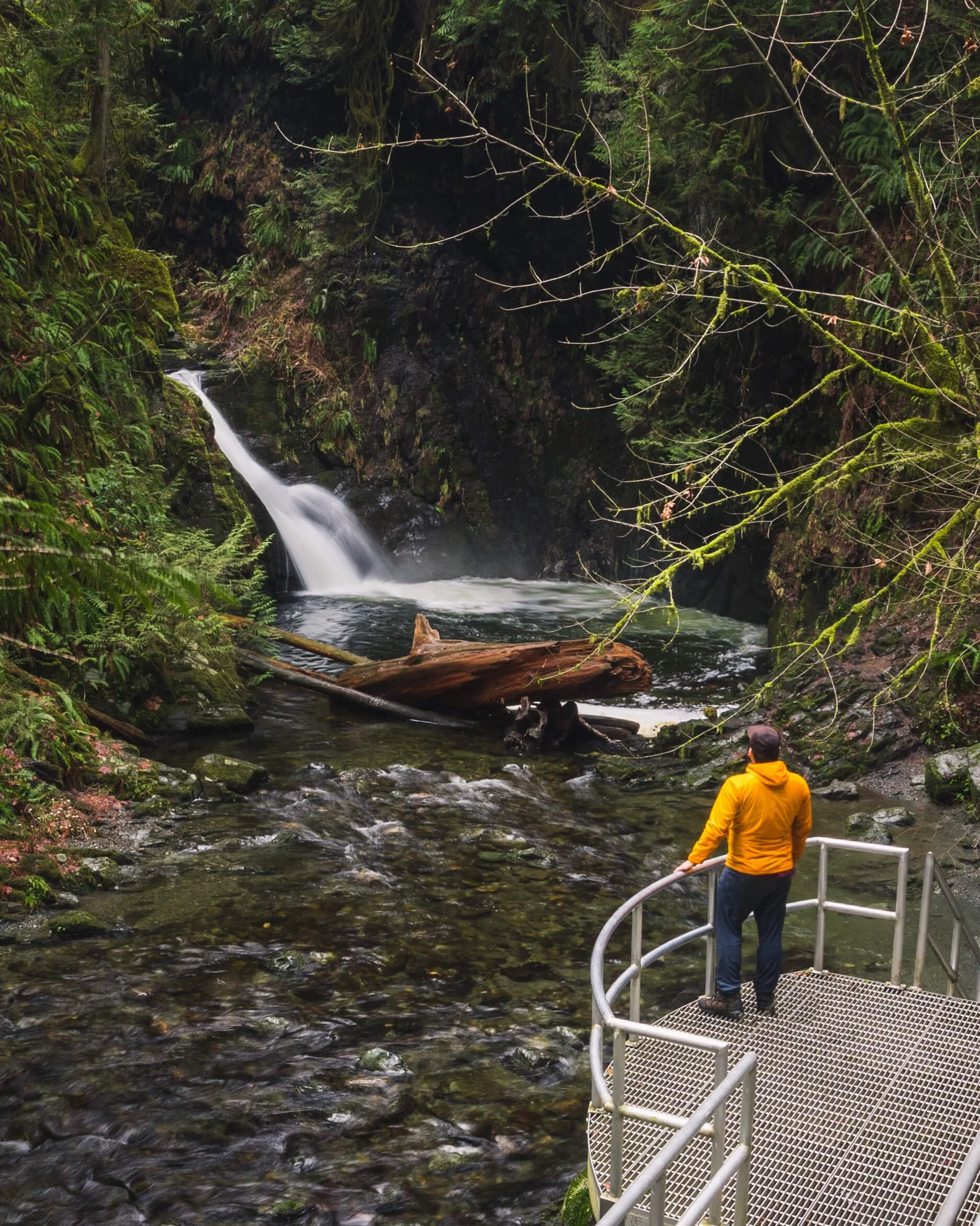 How to Hike to GOLDSTREAM FALLS near VICTORIA — Seeing the Elephant ...