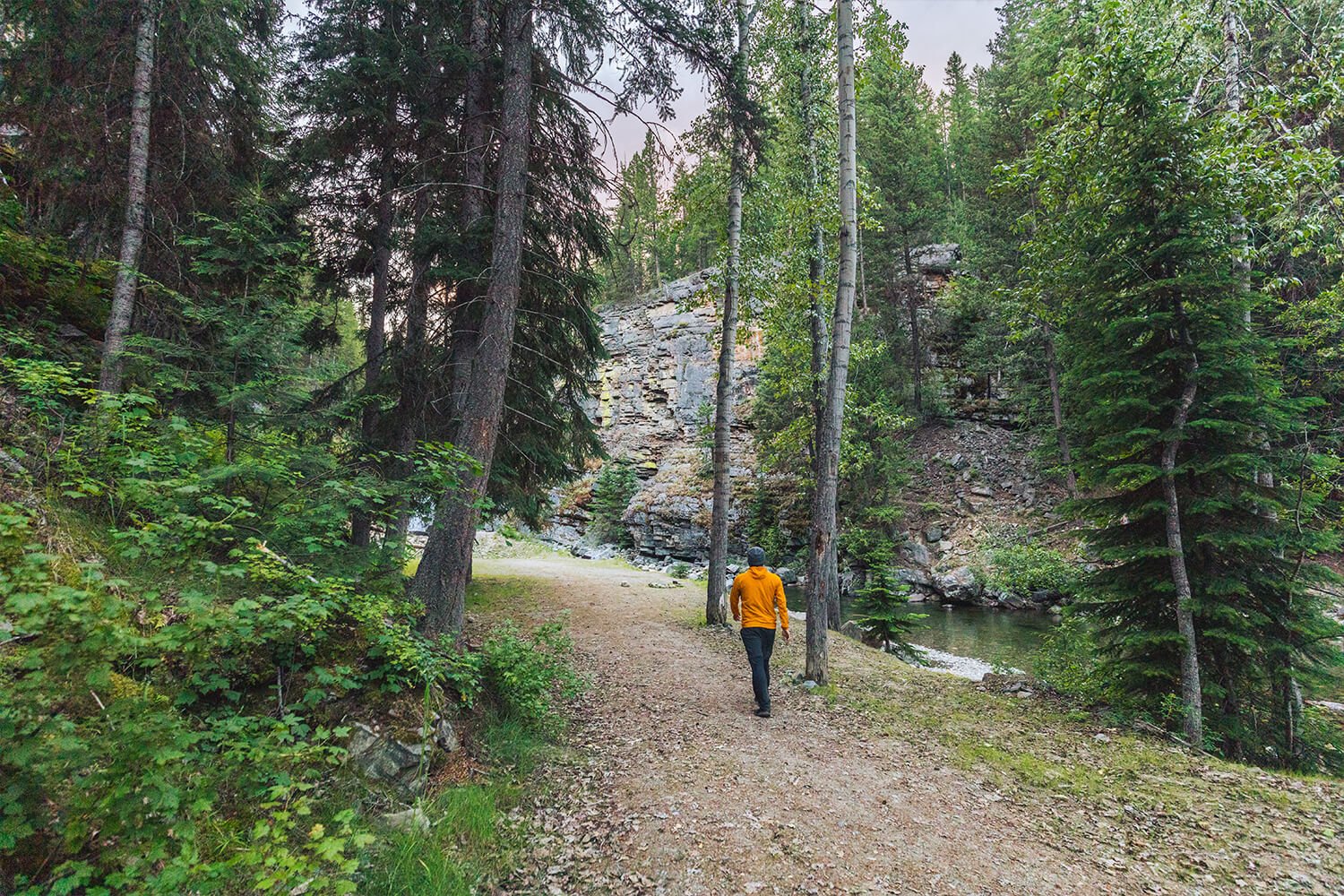 How to Hike to MOYIE FALLS Near CRANBROOK — Seeing the Elephant ...
