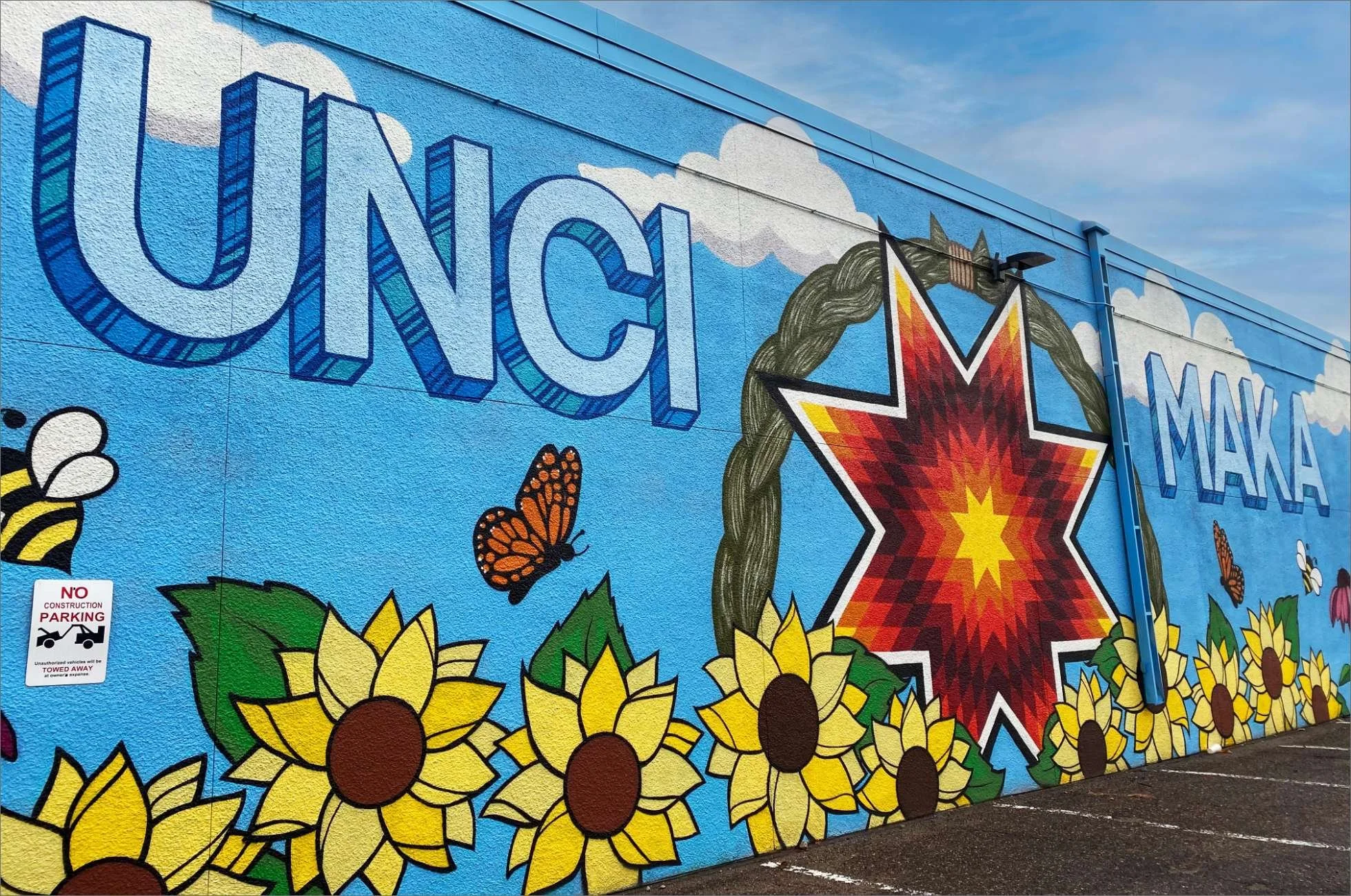 Thomasina Topbear — Chroma Zone Mural & Art Festival