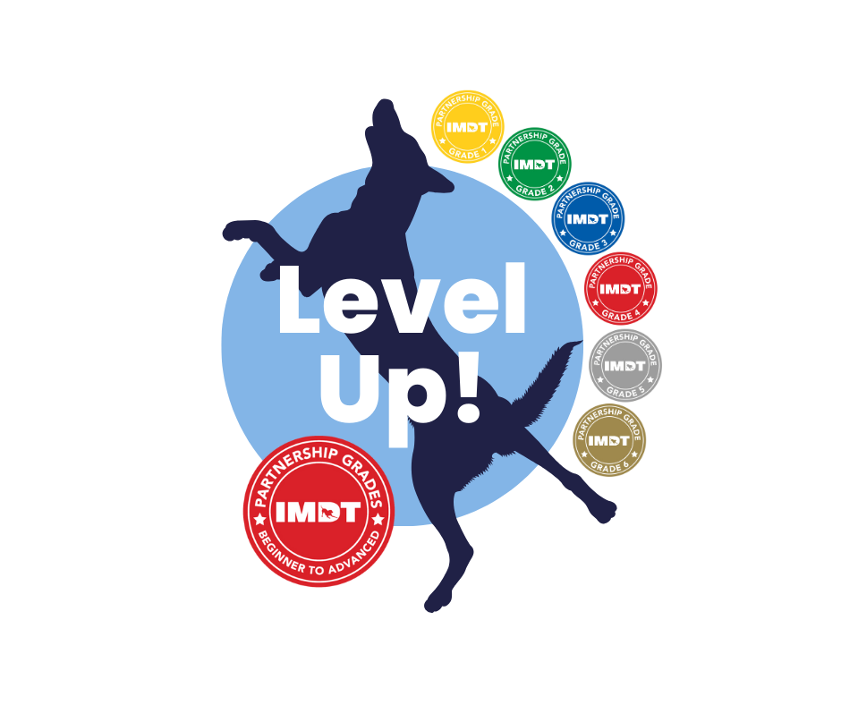 Classes — Toby Duncan Dogs