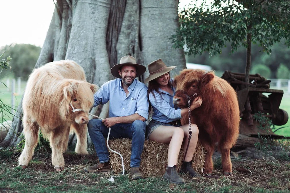 Highland Cow Photography — Koolah Creek Highland Cattle