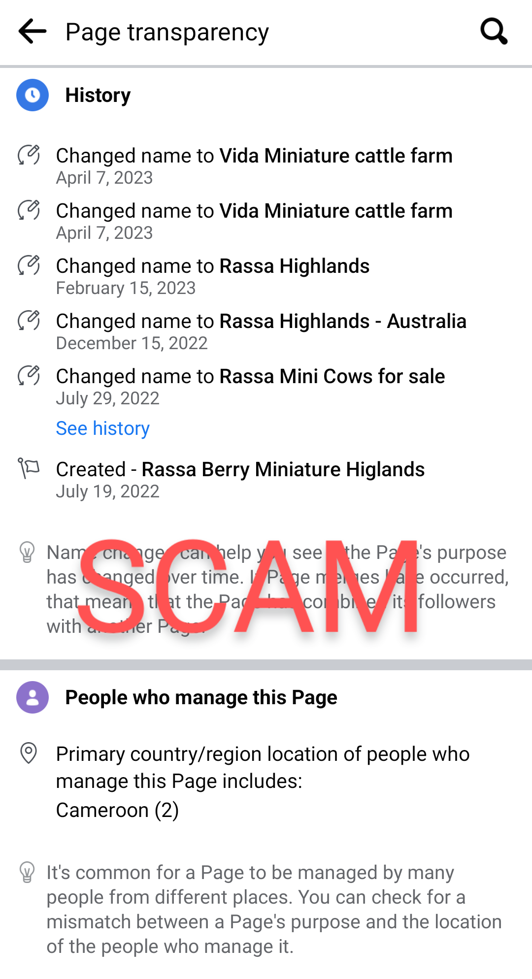 Highland Cattle Scams (likeASG, ACG Highlands and Vida Cattle Farm ...