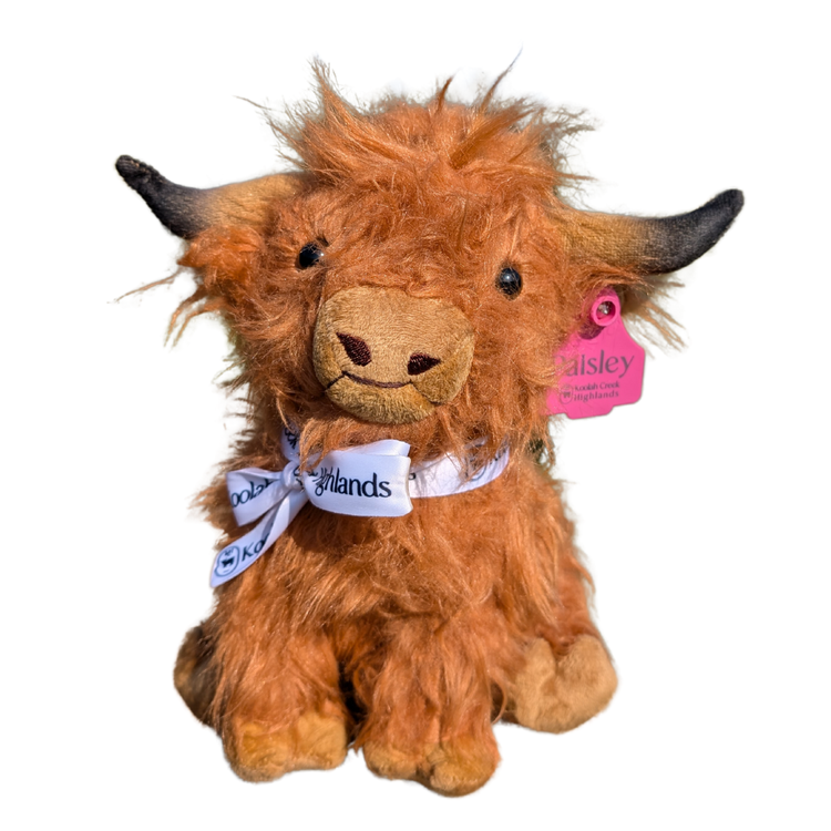 Highland Cow Experiences - so much more than a Highland farm tour ...