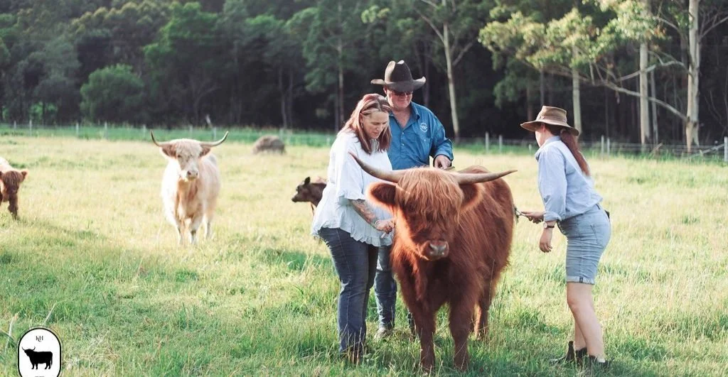 Highland Cow Experiences - so much more than a Highland farm tour ...