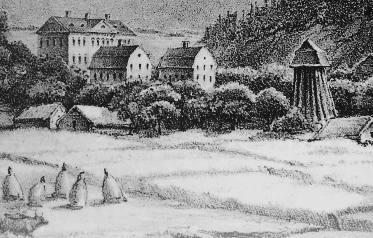 HISTORIA — Taxinge