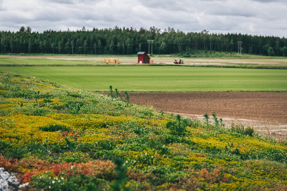 Taxinge Slott — Taxinge