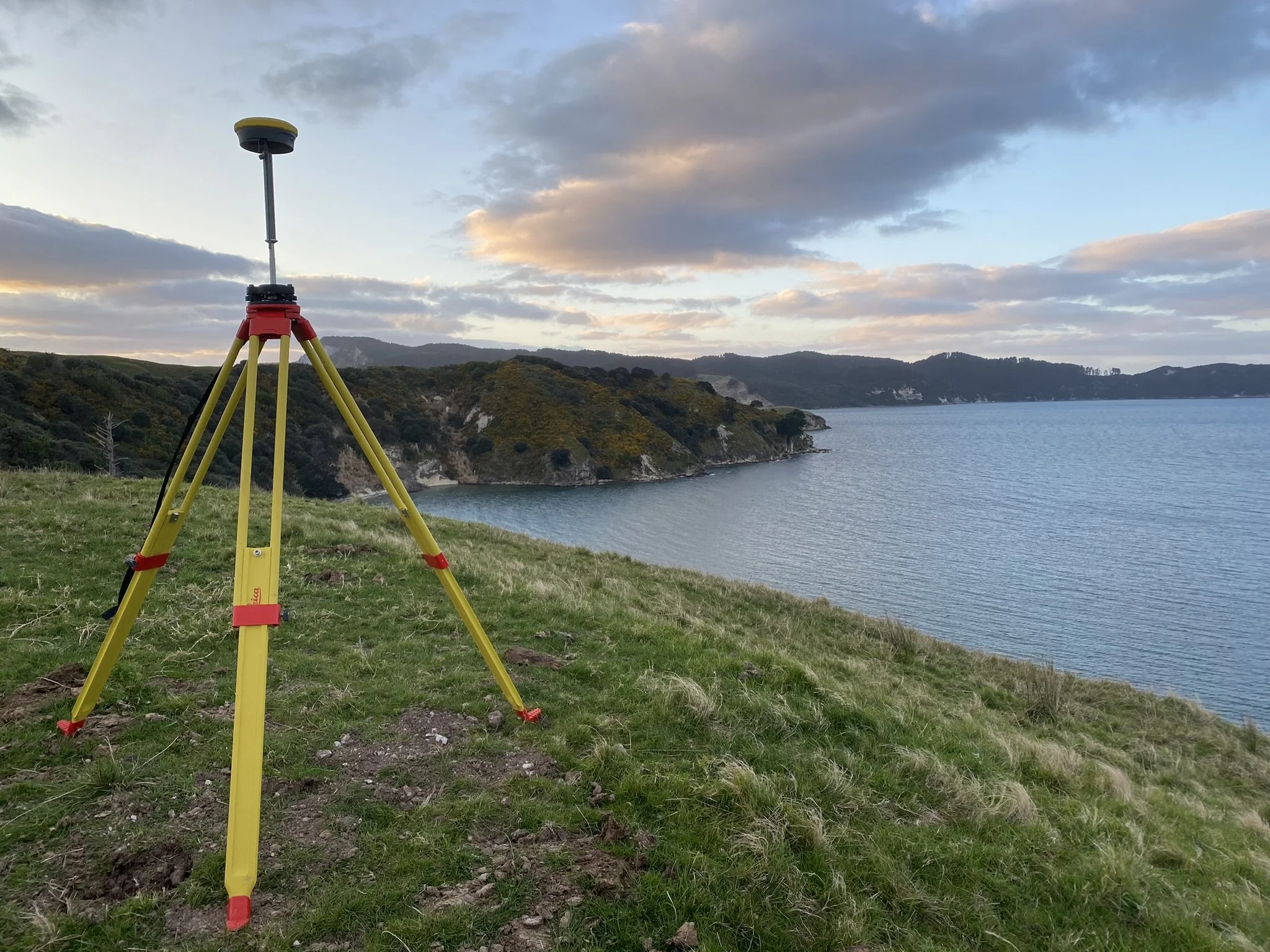 Services — PROSURV