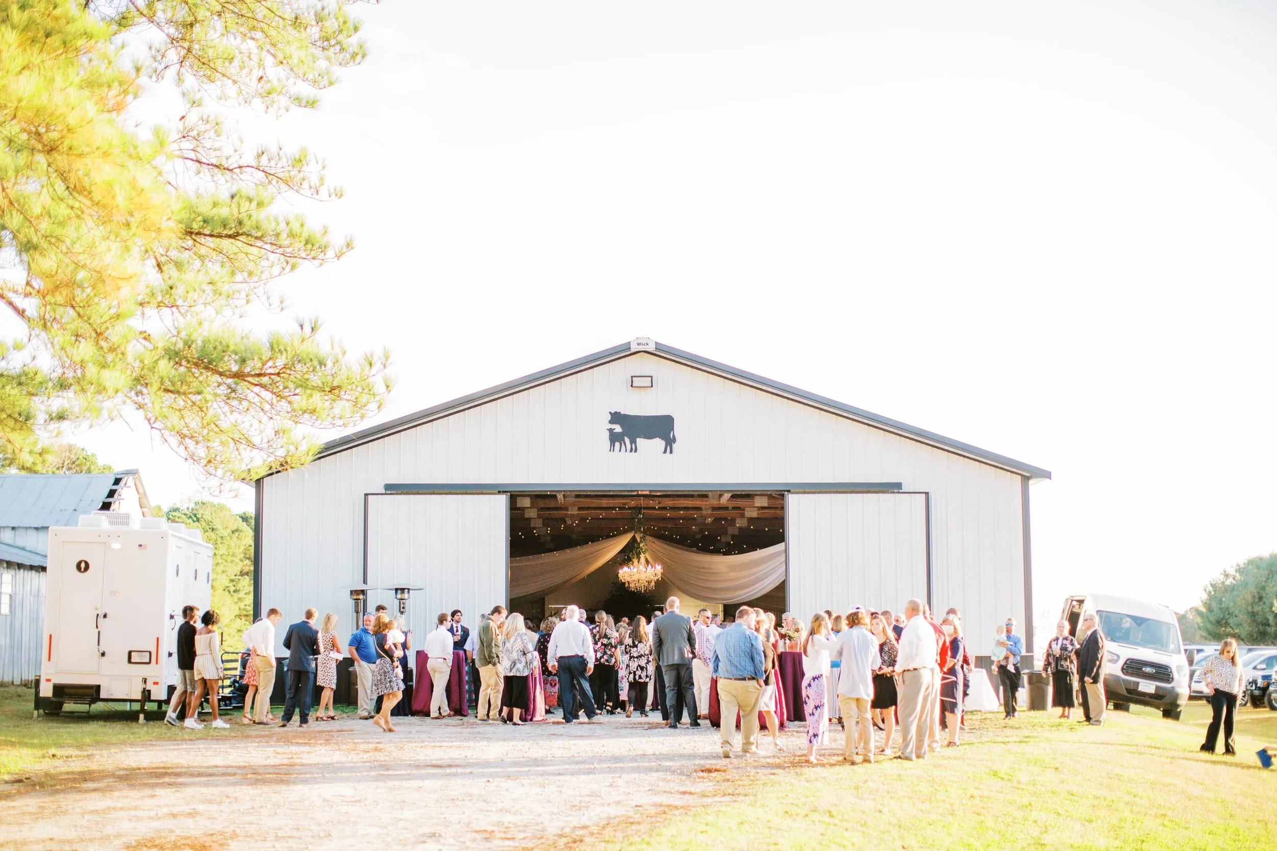 Patton Angus Farm at Melva Rainey blog