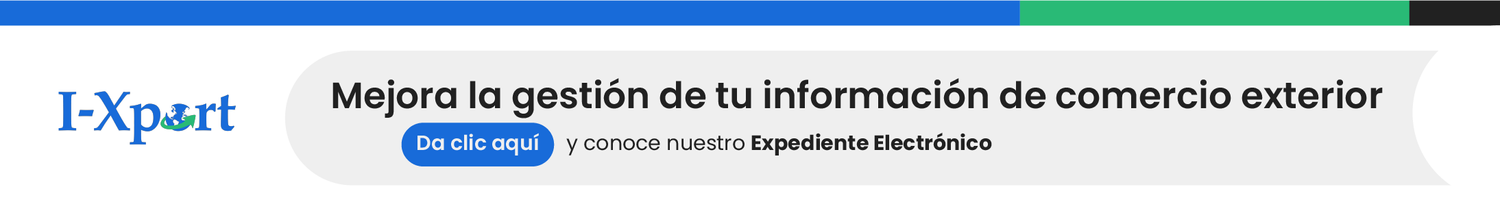 ¿Qué es el Anexo 24? Sistema automatizado de control de inventarios — I ...