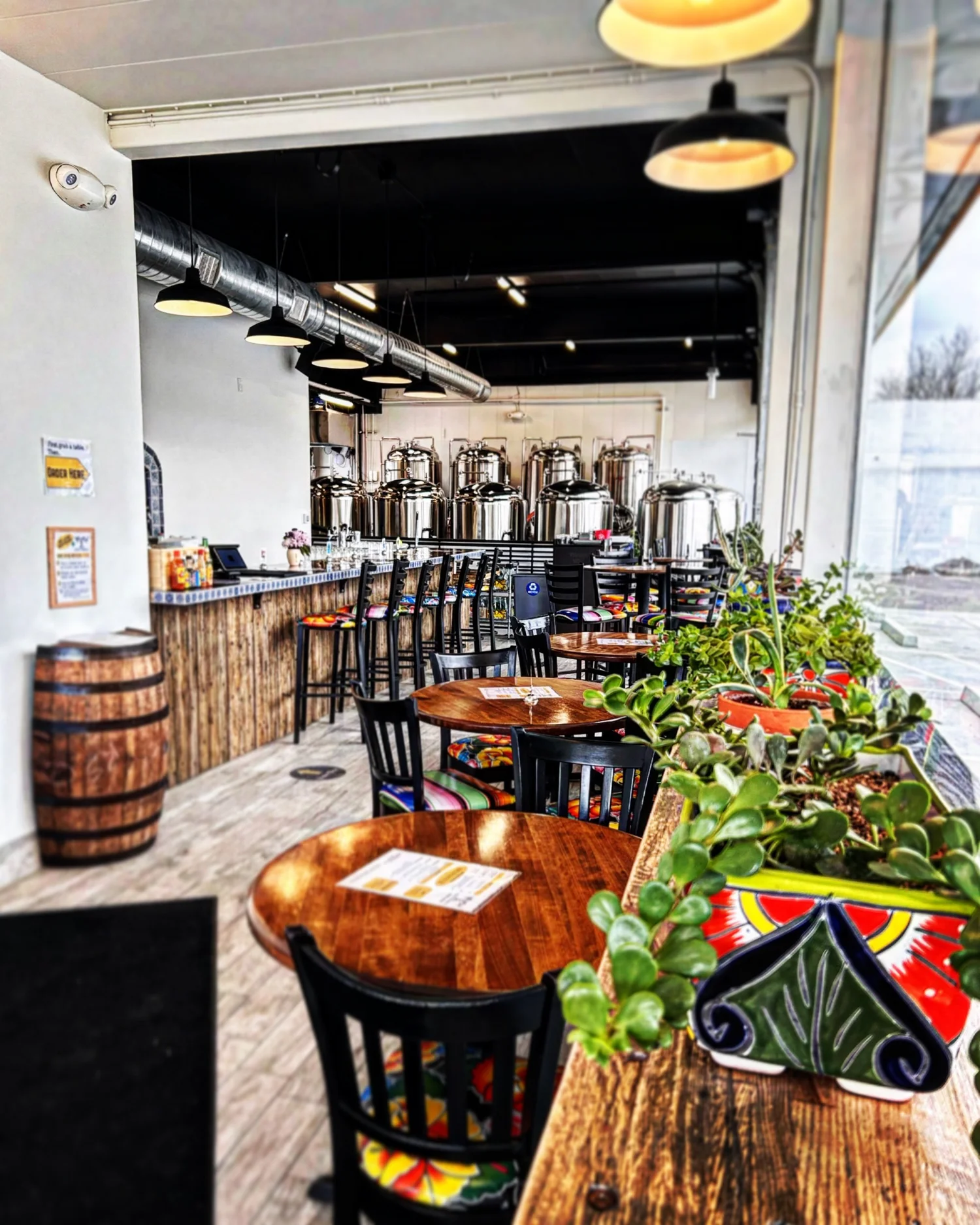 Mestizo Brew Cantina