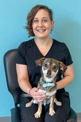 Your Pet's Care Team | Viking Veterinary Care