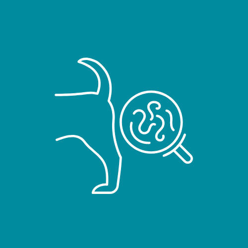 routine-services-tests-and-vaccines-viking-veterinary-care