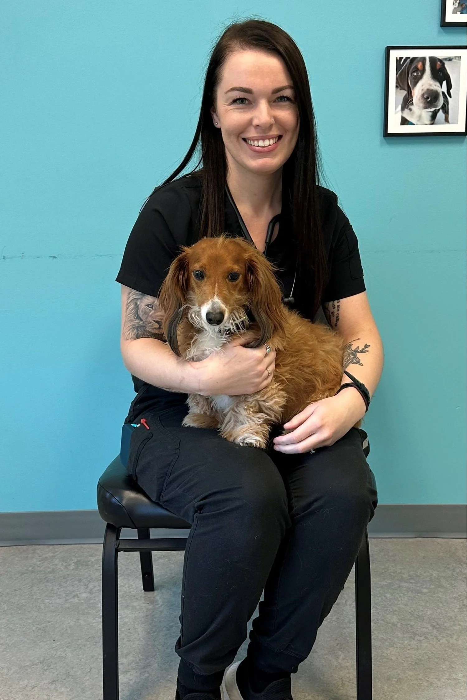 Your Pet's Care Team | Viking Veterinary Care