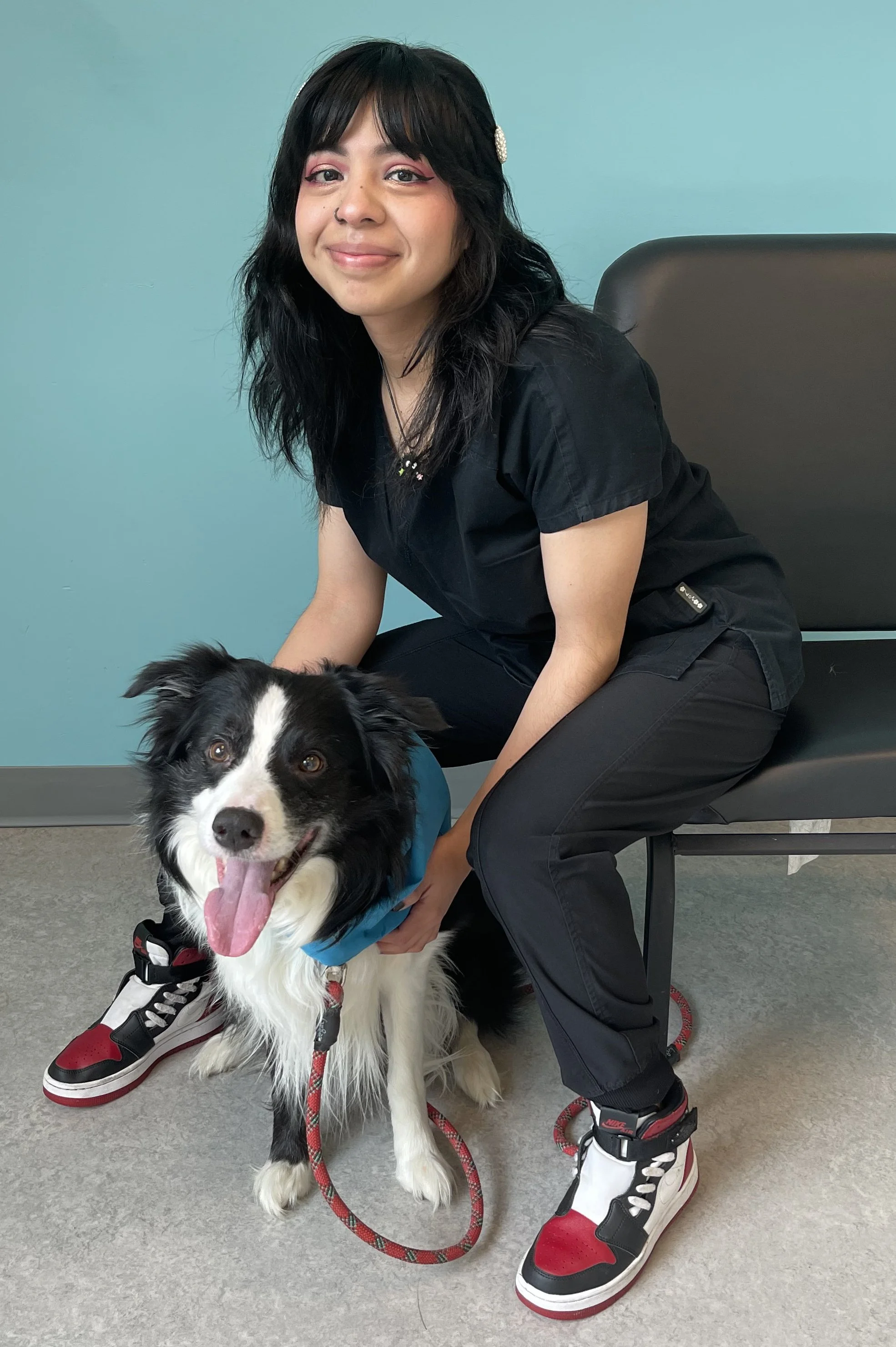 Your Pet's Care Team | Viking Veterinary Care