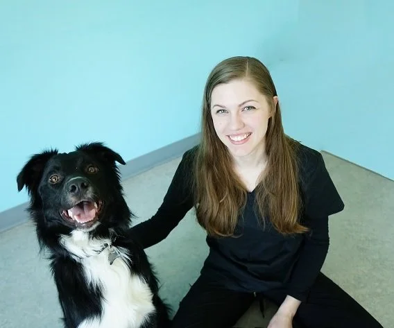 Your Pet's Care Team | Viking Veterinary Care