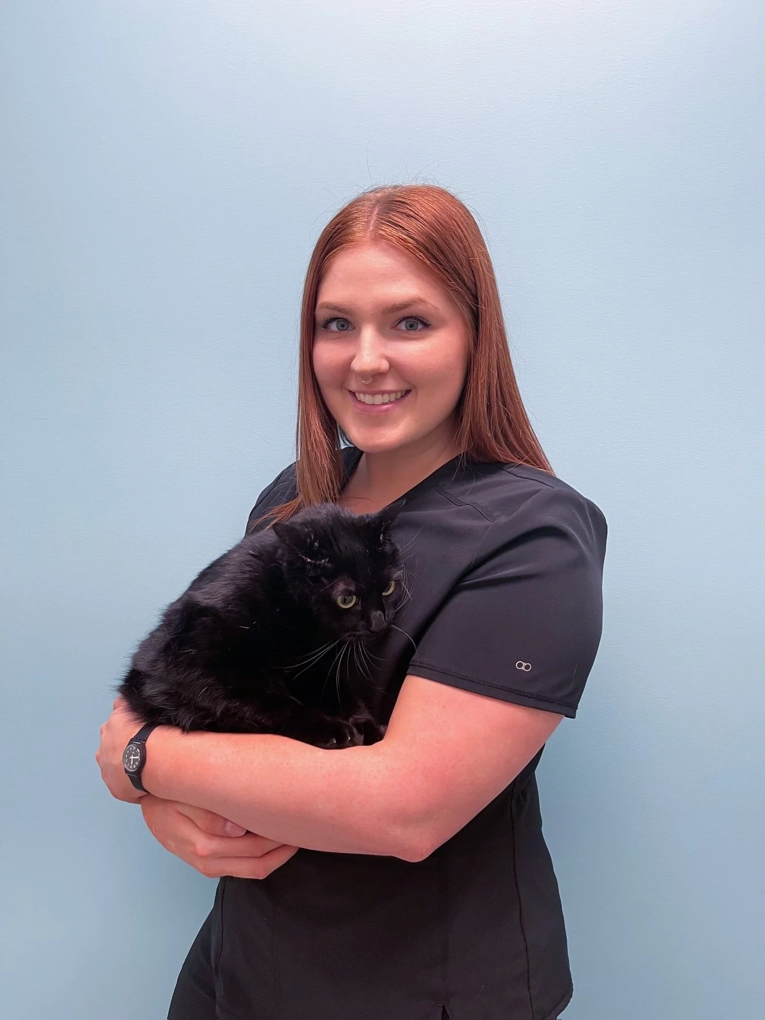 Your Pet's Care Team | Viking Veterinary Care