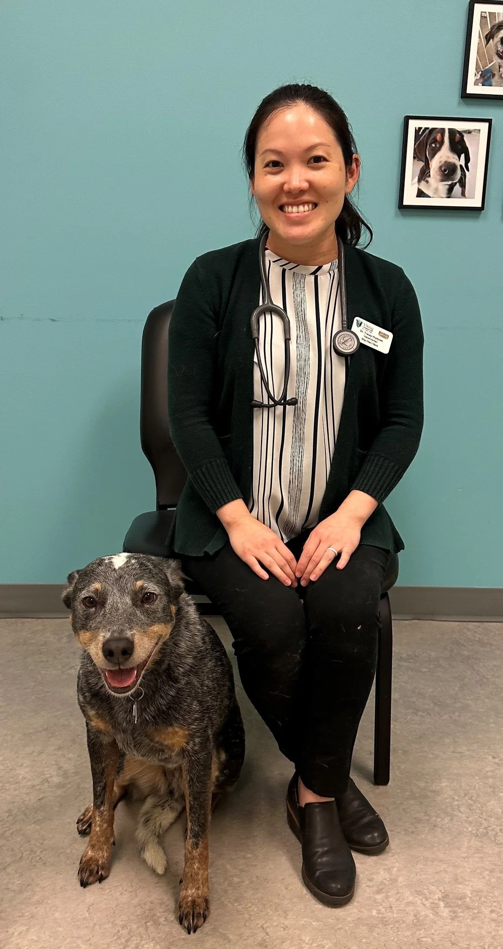 Your Pet's Care Team | Viking Veterinary Care