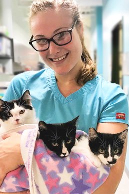 Your Pet's Care Team | Viking Veterinary Care