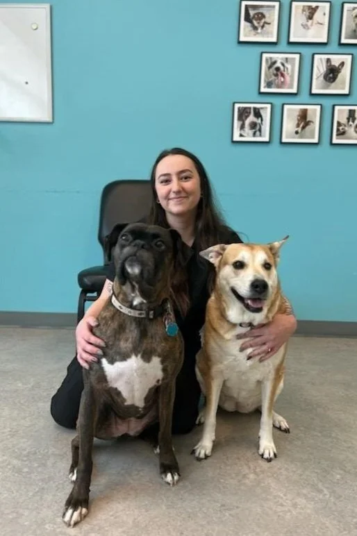 Your Pet's Care Team | Viking Veterinary Care