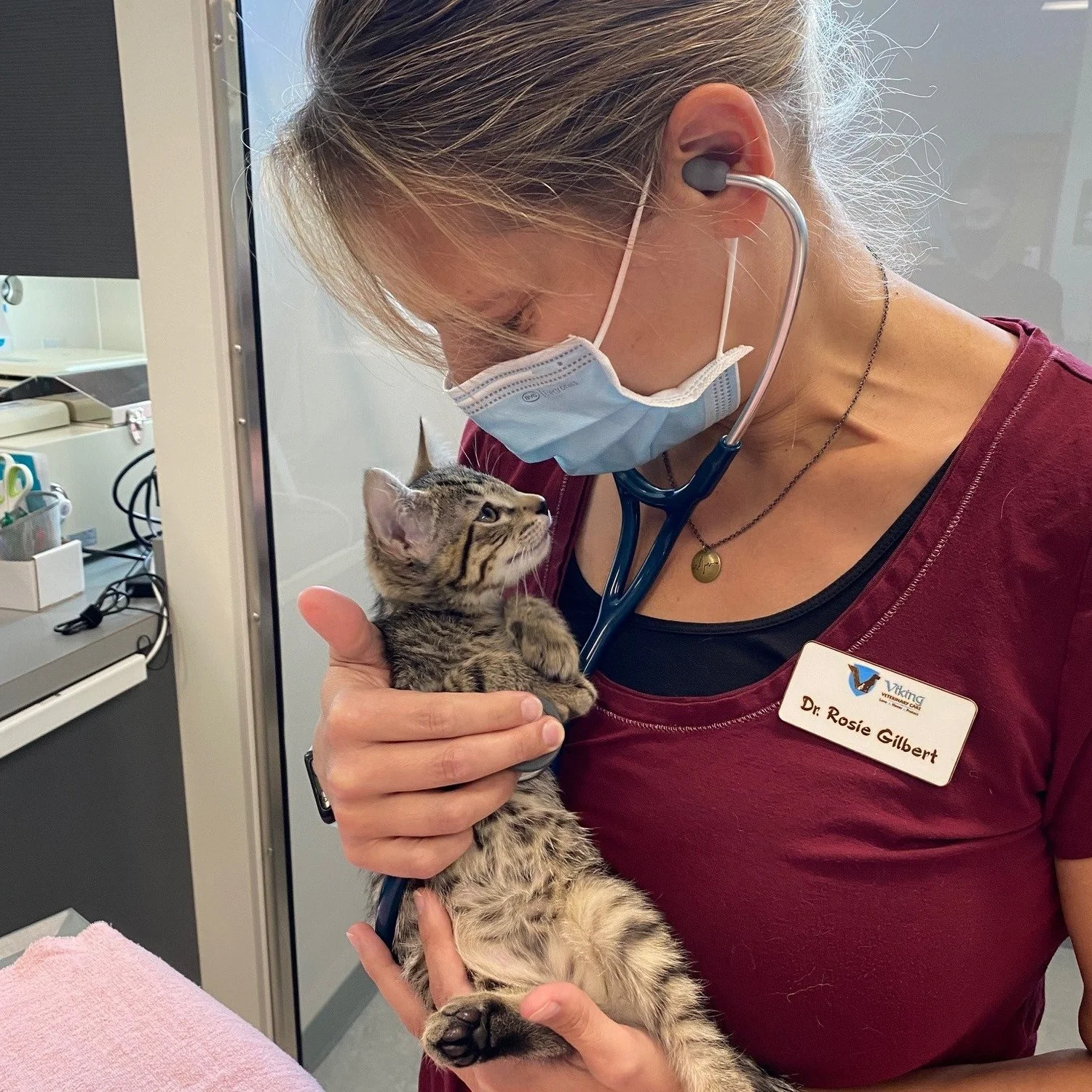 Viking Veterinary Care | Serving Bethany, Rock Creek, Tanasbourne