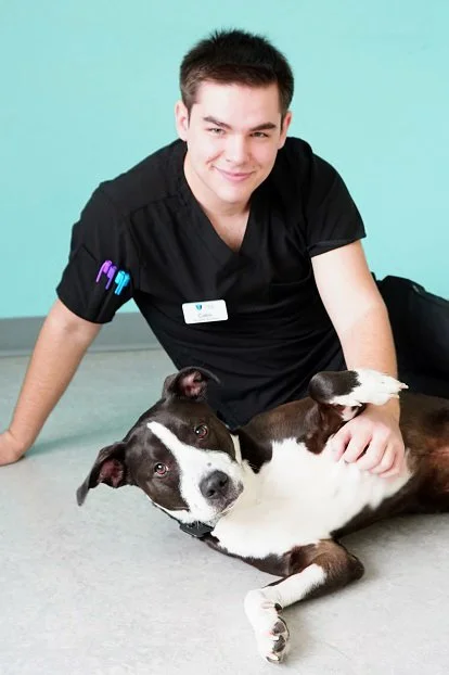 Your Pet's Care Team | Viking Veterinary Care