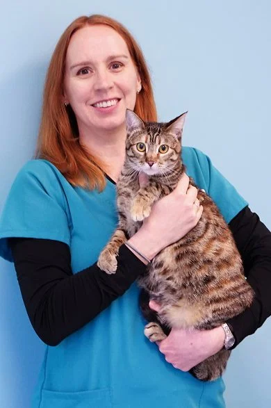 Your Pet's Care Team | Viking Veterinary Care