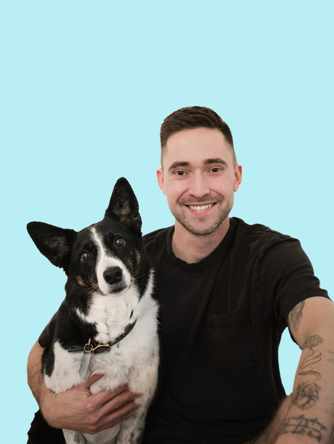 Your Pet's Care Team | Viking Veterinary Care