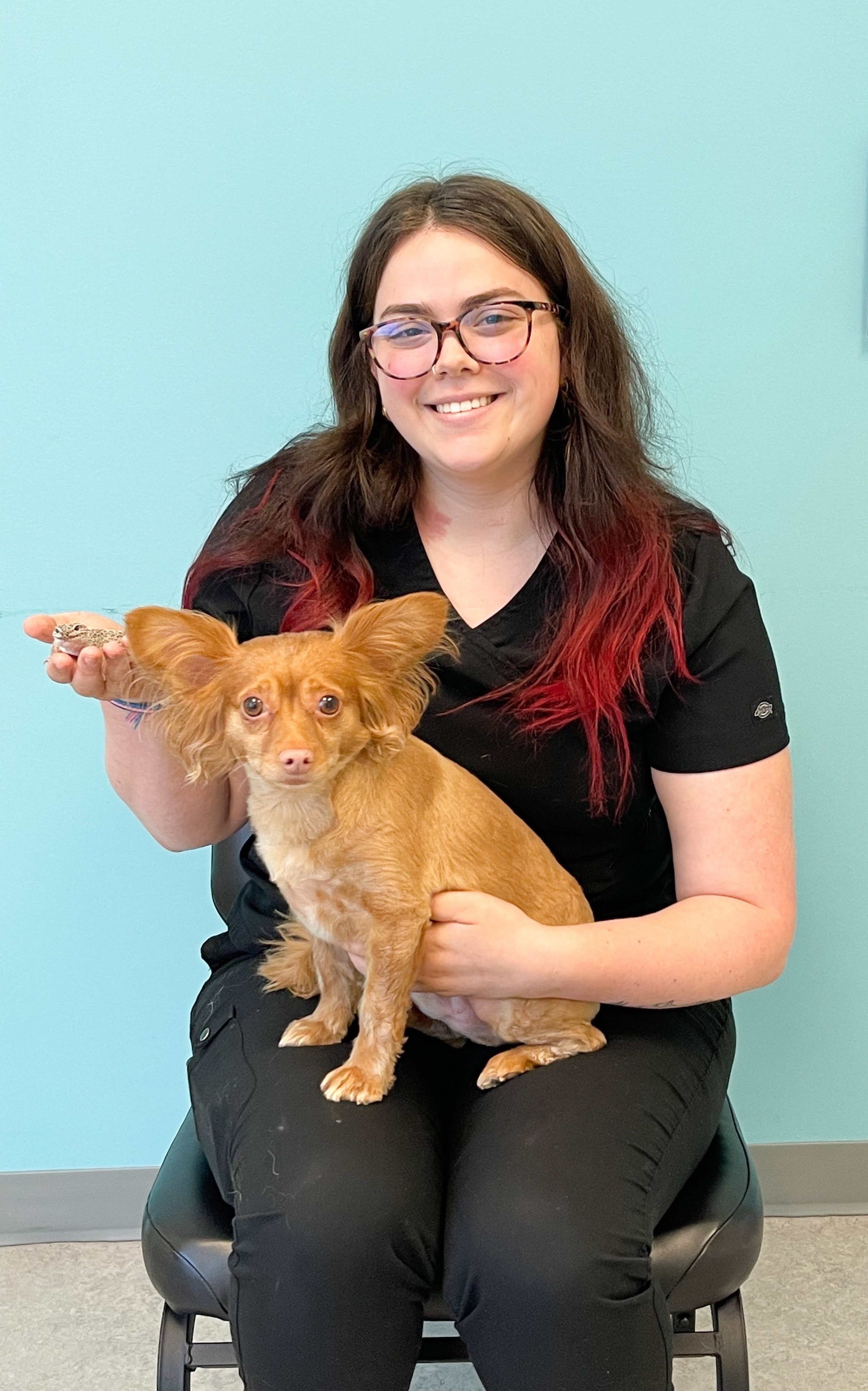Your Pet's Care Team | Viking Veterinary Care