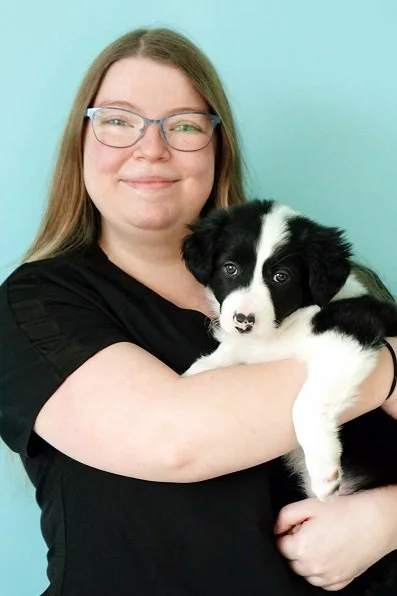 Your Pet's Care Team | Viking Veterinary Care