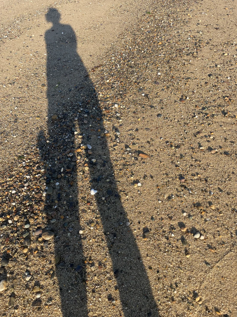 About 5 — Amy Goldfarb