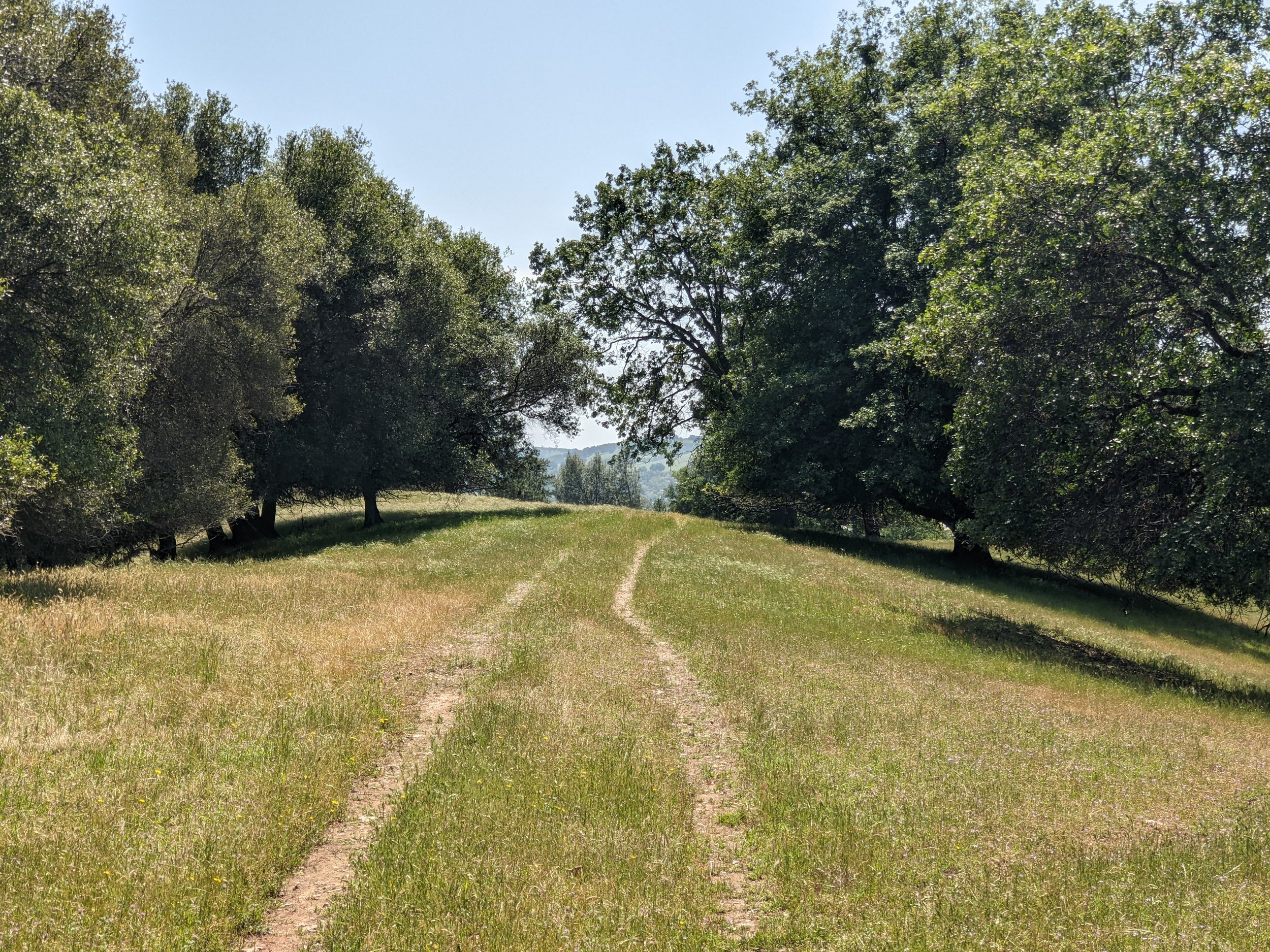 Mother Lode Land Trust