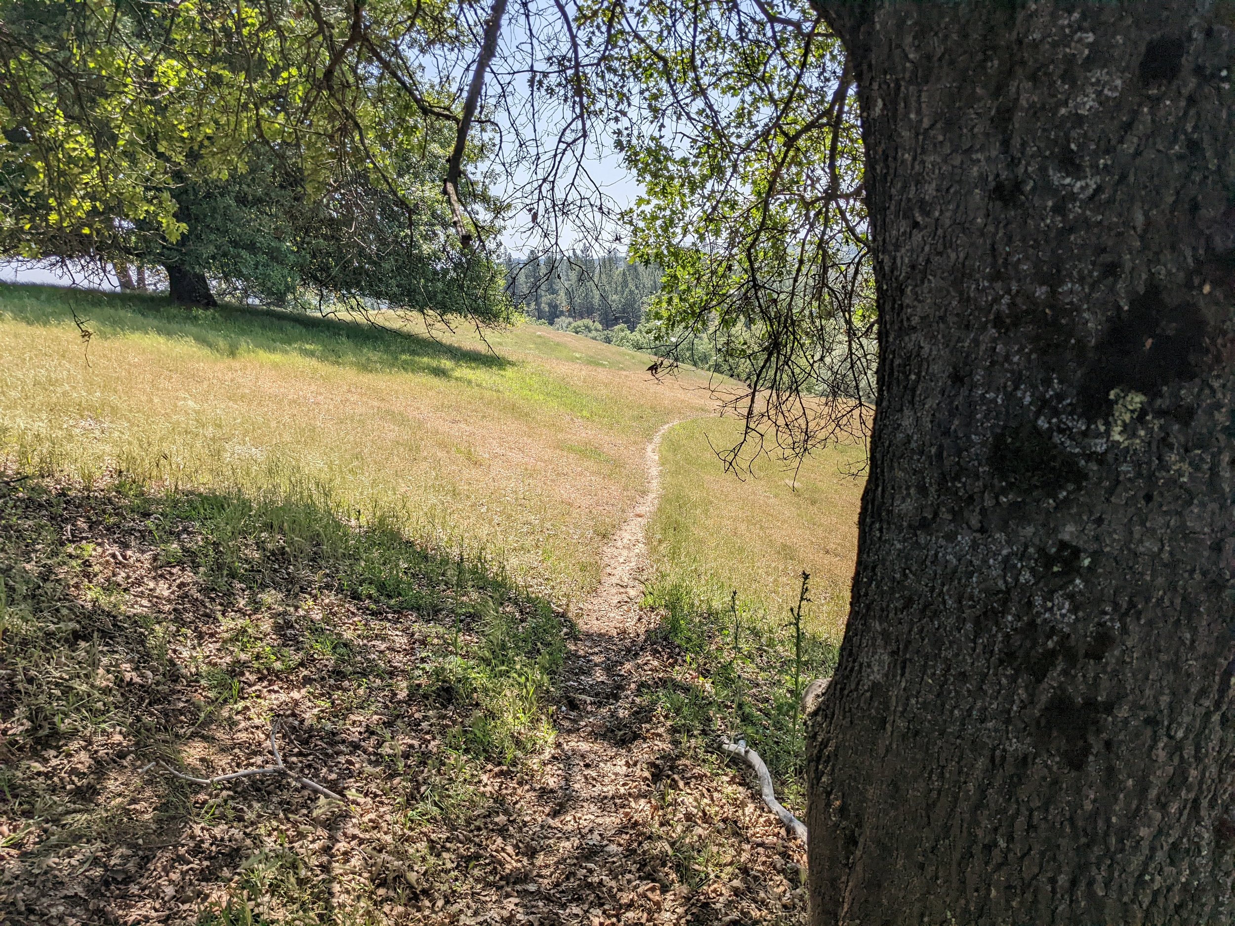 Mother Lode Land Trust