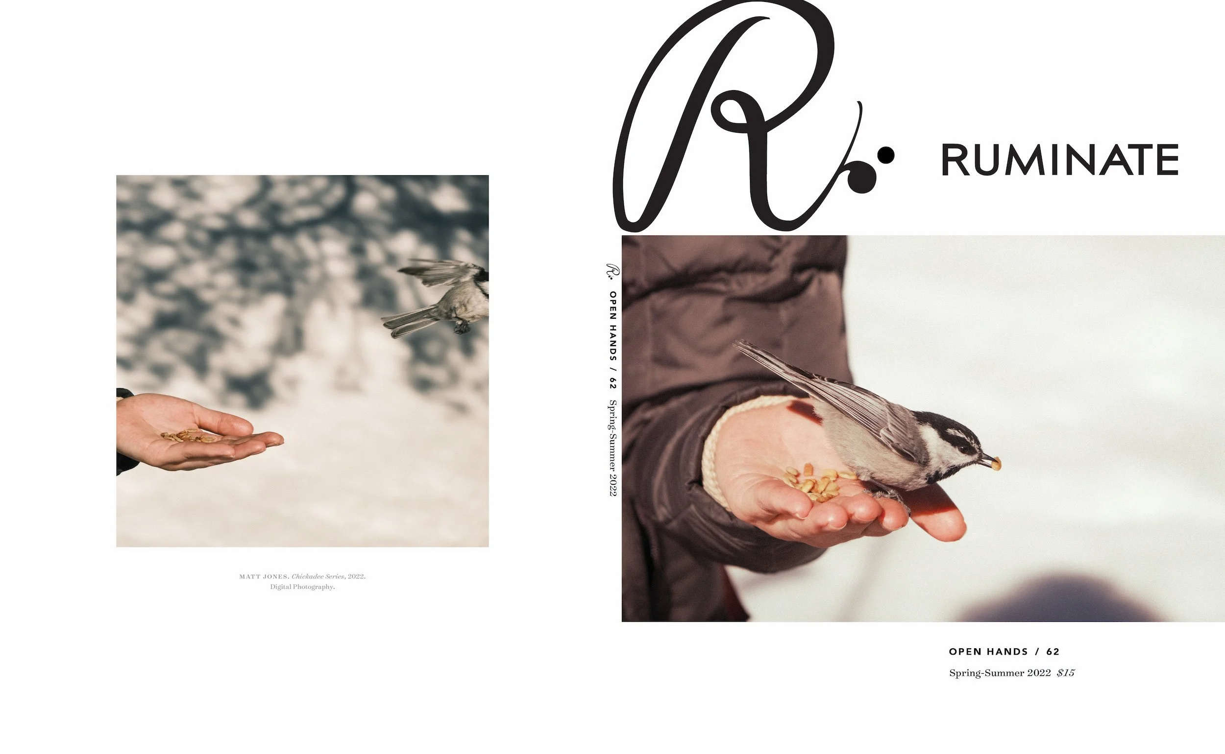 Projects — Wild Burro Studio