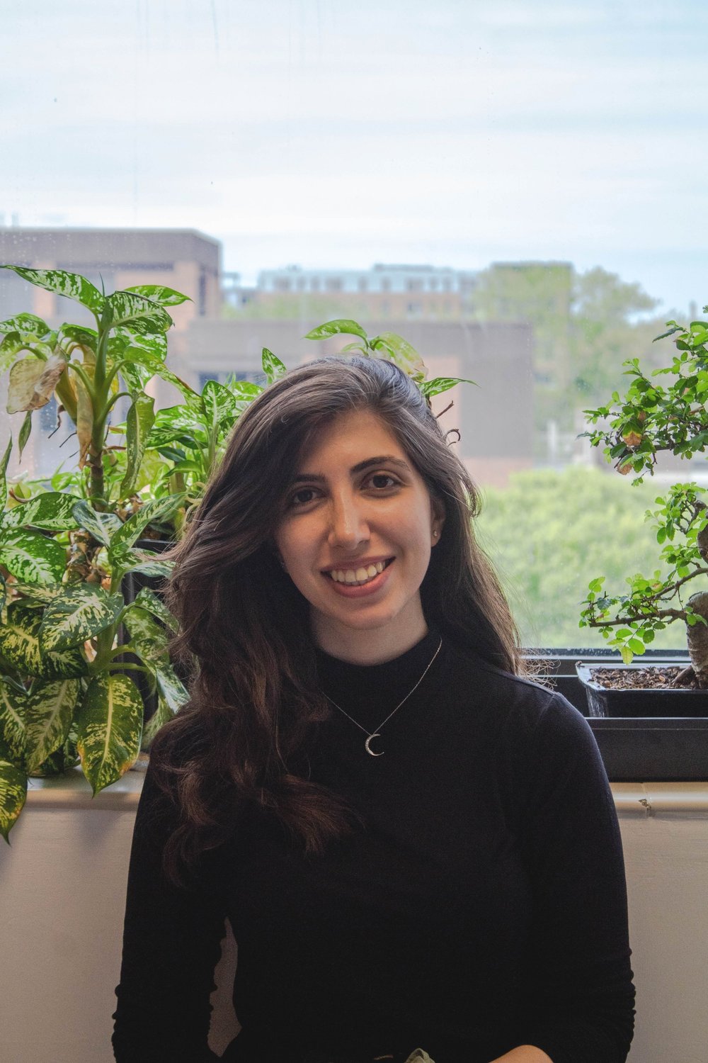 The Lab — Reiter Lab