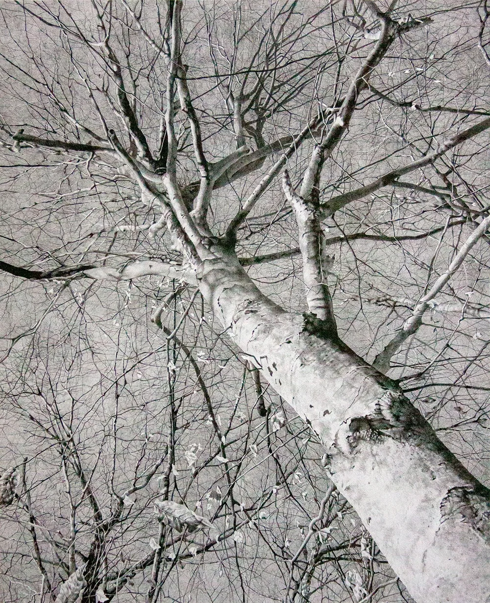 Andrew Polk / Feb - March 2024 Exhibition — Artspace