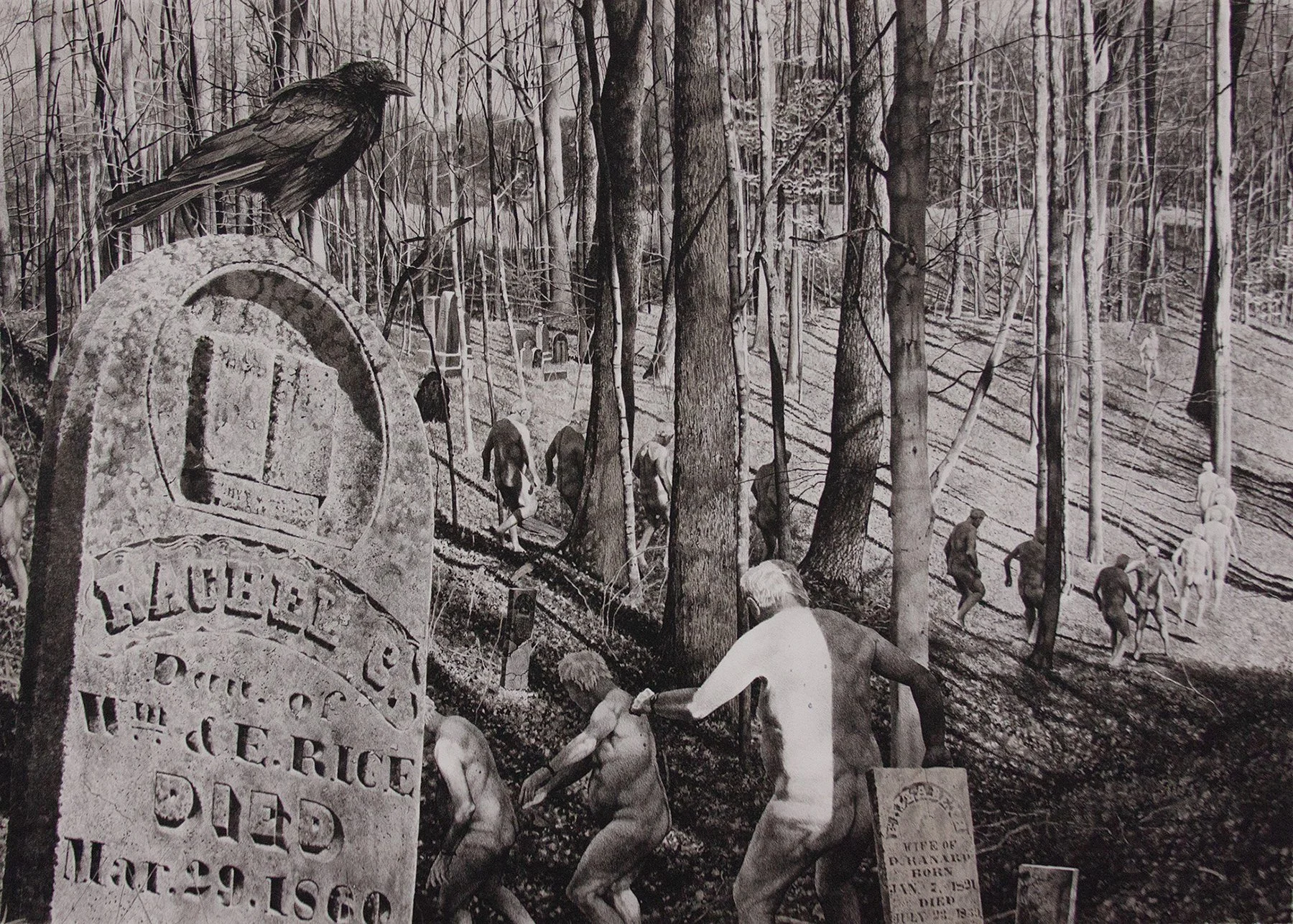 Andrew Polk / Feb - March 2024 Exhibition — Artspace