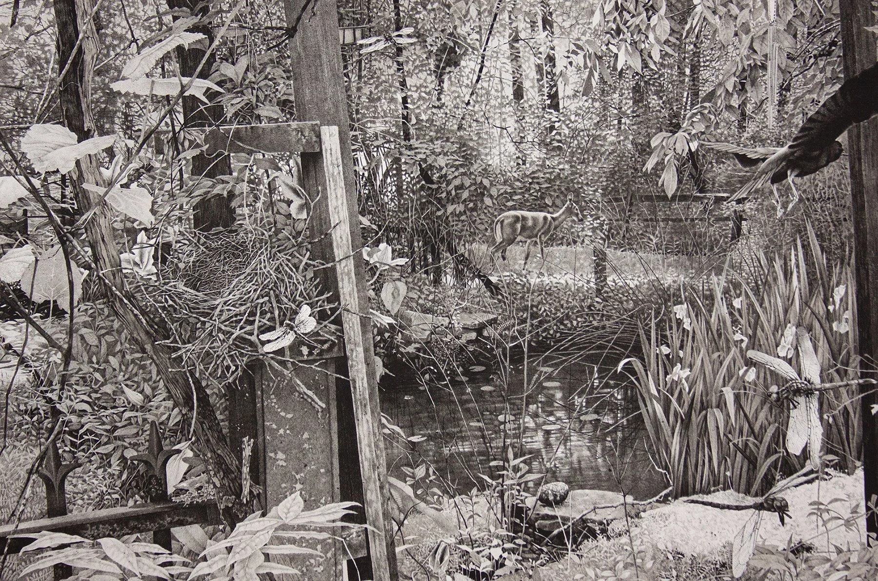 Andrew Polk / Feb - March 2024 Exhibition — Artspace