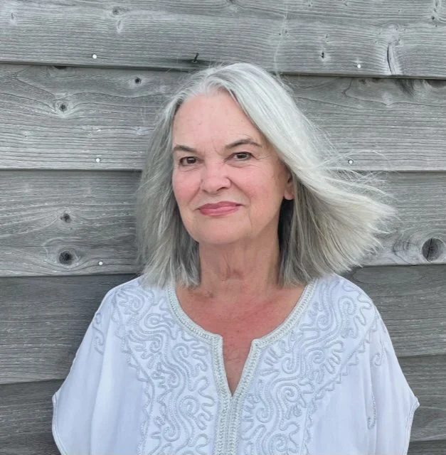 Carol Meese / On-Leave Artist Member Profile — Artspace