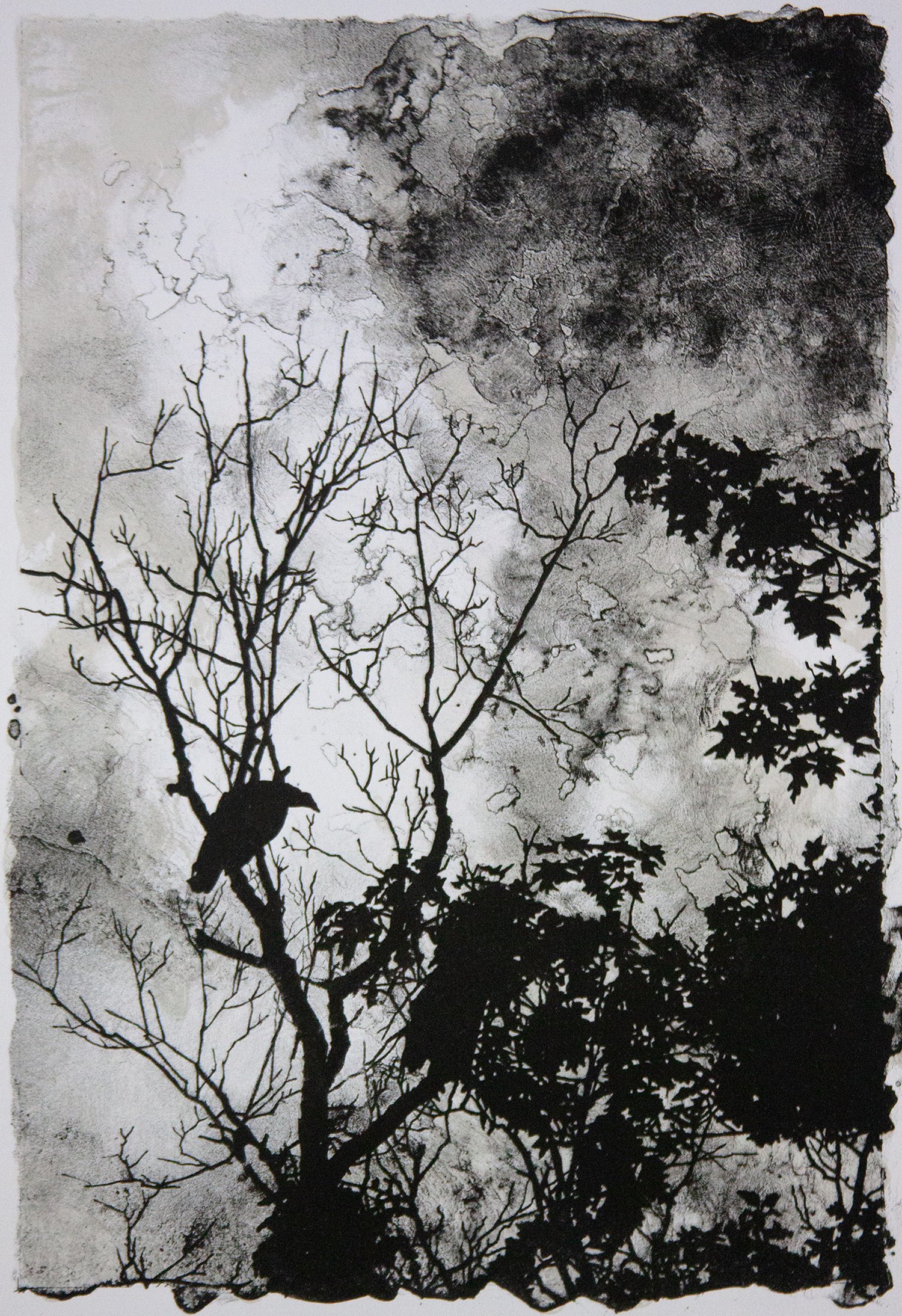 Andrew Polk / Feb - March 2024 Exhibition — Artspace