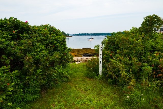 Ed Holten Member Spotlight / October-November 2022 Exhibition — Artspace