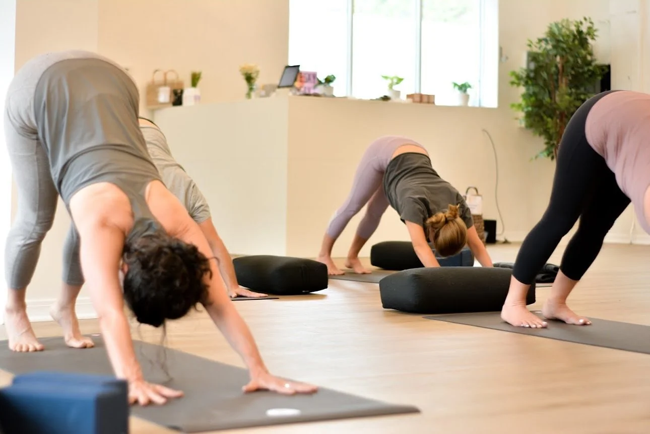 Elmhurst Yoga Class Schedule — Ahimsa Yoga Studio